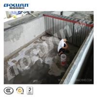 China Industrial 100MT Brine Technology Block Ice Machine with and Simens Control System for sale