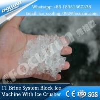 China Brine System Block Ice Machine 1 Ton/Day With Ice Crusher And Water Cooling System for sale