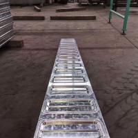 China Hot Dipped Galvanized Steel Raceway Tray Ladder 100mm Customized for sale