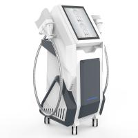 China 2022 360 cryolipolysis new technology professional body contouring fat reduce weight loss machine for sale LF-268 for sale