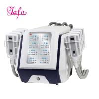 China 30 minutes only! cryo plates slimming device for fat cellulite removal cryolipolysis plate 8 pcs LF-271 for sale