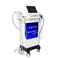China HOTTEST 11 in 1 multifunction microdermabrasion professional hydro dermabrasion / microdermabrasion machine for sale