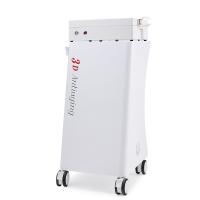 China 20000 Shots Anti-Wrinkle Face Lifting High Intensity Focused Ultrasound 3d 4d Mini Hifu Machine for sale