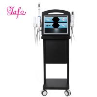 China LF-407C portable 20000 shots 4 in 1 l vmax 4d hifu with 12 lines for anti wrinkle/skin tightening hifu body slim for sale
