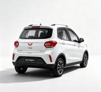 China Wuling Xingchi 310S Compact SUV with 1.5L NA and Turbo Engine Options, 6MT / CVT Transmissions, and Optional ESC, Sunroof, LED DRL for sale