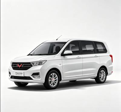 China Wuling Hongguang N510M EV/REEV Electric MPV for sale