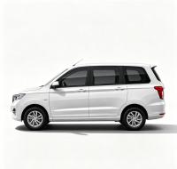 China Wuling Hongguang N510M EV/REEV Electric MPV for sale