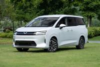 China Wuling Starlight 730EV LV1 7-Seater Pure Electric MPV with 500km Driving Range, 7-Seat Layout, and Electric Power Sliding Doors for sale