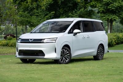 China Wuling Starlight 730EV LV1 7-Seater Pure Electric MPV with 500km Driving Range, 7-Seat Layout, and Electric Power Sliding Doors for sale