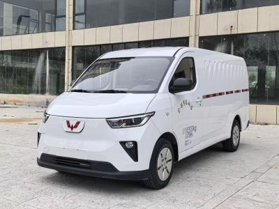 China Wuling Yangguang Pure Electric Box Van Passenger Version, 2-Seater EV for sale