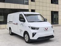 China Wuling Yangguang Pure Electric Box Van Passenger Version, 2-Seater EV for sale