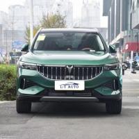China Voyah 2024 Pure Electric Dreamer for Thickening Energy Program and Max Speed 200 Km/h for sale