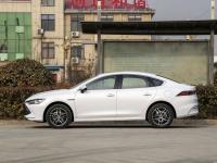 China BYD QIN plusChampion Edition DM-i 120KM Transcendence135800 Battery ELerctric Vehicle for sale