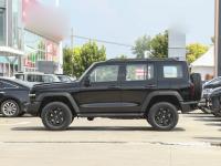 China 2024 Tank 300 Cross-Country 2.0T Turbo Gasoline Suv with Maximum Torque Nm of 300-400Nm for sale