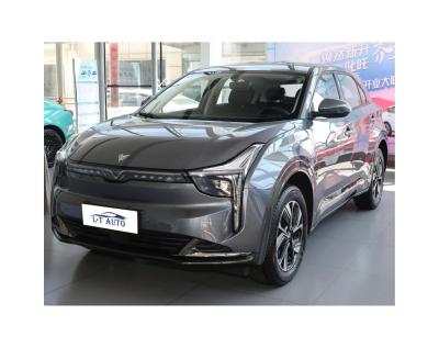China Experience the Future of Transportation with Hozon Neta U Intelligent Luxury SUV for sale