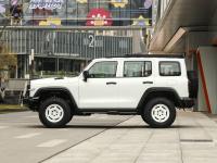 China GMW Tank 300 4x4 2.0t Off-Road Vehicle Gasoline Fuel Car with ABS and 360° Rear Camera for sale