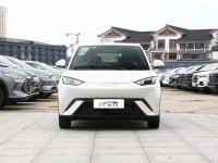 China LiFePO4 Battery BYD Seagull Sea Gull Modern Auto Energy Electric Vehicle Buy Now for sale