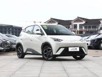 China LiFePO4 Battery BYD Seagull Sea Gull Modern Auto Energy Electric Vehicle Buy Now for sale
