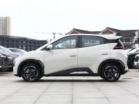 China LiFePO4 Battery BYD Seagull Sea Gull Modern Auto Energy Electric Vehicle Buy Now for sale