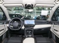 China 50-80L Fuel Tank Capacity LynkCo 06 Small SUV Gasoline Car with Rear Camera and 4-Seater for sale