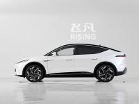 China Fuel Type Electric SUV RISING R7 The Perfect Combination of Performance and Range for sale