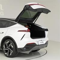 China Fuel Type Electric SUV RISING R7 The Perfect Combination of Performance and Range for sale