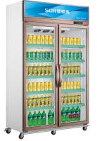 China 220V/110V Double Glass Door Display Freezer Beverage Commercial Showcase Refrigerator for sale