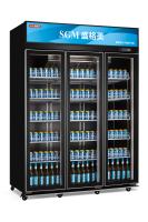 China 220V/110V Double Glass Door Display Freezer Beverage Commercial Showcase Refrigerator for sale