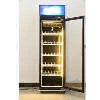 China Showcase Commercial Glass Door Beverage Cooler Display Freezer 480L for sale