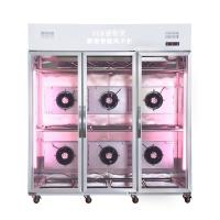 China Peking Roast Duck Drying Cabinet Custom Large Capacity storage space for sale