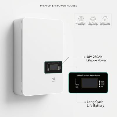 China LiFePO4 Battery Pack 48V 230Ah 200Ah Energy Storage System with Smart BMS for sale