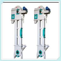 China Double Vertical Bucket Elevator Heavy Duty 300mm Bucket Width Bulk Material Conveying for sale