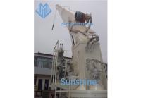 China Pedestal Stiff Boom Marine Crane 10m Working Radius 10500 kg Offshore Fixed Boom Crane for sale