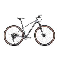 China Carbon Fiber Mountain Bike T900 29er Warriorpro Thru Axle 12x148mm Disc Brake MTB for sale