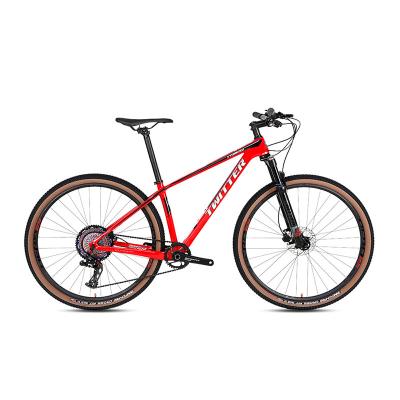 China 27.5 29 Inch Carbon Mountain Bike RS 13 Speed Air Suspension Fork MTB for sale