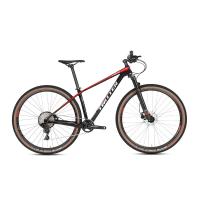 China Carbon MTB Bicycle 29er SRAM NX 11S Inner Cable Routing Mountain Bike 11.6kg for sale