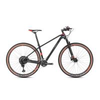 China Carbon Fiber Mountain Bike 27.5 29er Warriorpro SHIMANO M6100 12 Speed T900 Disc Brake Adult MTB for sale