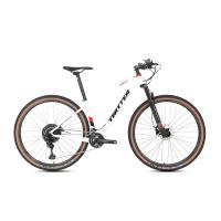 China Carbon Fiber Mountain Bike 29er Warriorpro SHIMANO XT M8100 24 Speed Thru Axle 12x148mm Boost Disc Brake for sale