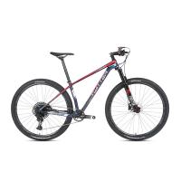 China Carbon Mountain Bike 29er Holographic Color SRAM SX 12S Groupset 11.6kg Adult XC for sale