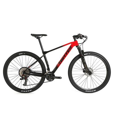 China PREDATOR Pro 29er Carbon Fiber Mountain Bike 13 Speed MTB T900 Air Suspension for sale