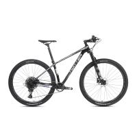 China 29er STORM2.0 Carbon Mountain Bike SHIMANO ALTUS M2010 27 Speed Groupset 29x17 Inch Frame for sale