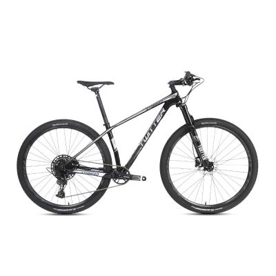 China 29er STORM2.0 Carbon Mountain Bike SHIMANO ALTUS M2010 27 Speed Groupset 29x17 Inch Frame for sale