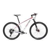 China Carbon Fiber Mountain Bike STORM 2.0 29er SHIMANO DEORE M6100 12 Speed MTB Cycling for sale
