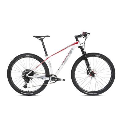 China Carbon Fiber Mountain Bike STORM 2.0 29er SHIMANO DEORE M6100 12 Speed MTB Cycling for sale