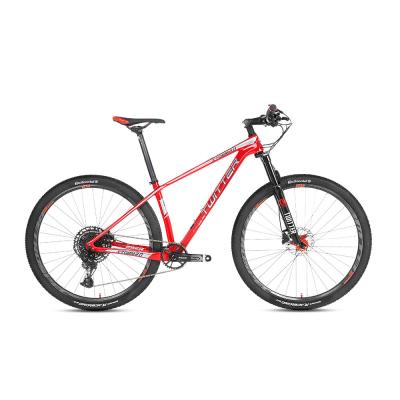 China Carbon Fiber Mountain Bike STORM2.0 29 Inch SRAM NX 11 Speed Men MTB Cycle for sale