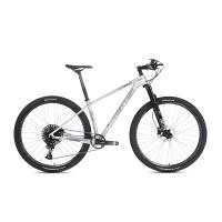 China 29er Carbon Fiber Trail Bike RAM SX EAGLE 12 Speed Groupset XC Mountain Bike 29x17 Inch Frame for sale