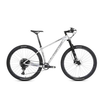 China 29er Carbon Fiber Trail Bike RAM SX EAGLE 12 Speed Groupset XC Mountain Bike 29x17 Inch Frame for sale