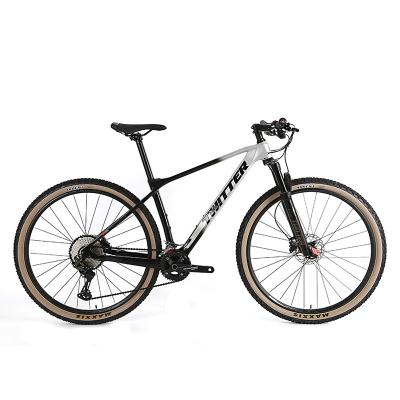 China 29 Inch Carbon Fiber MTB Bike SHIMANO XT 24S Hydraulic Disc Brake 11.6kg for sale