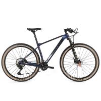 China 11.6kg 27.5 Inch Carbon Mountain Bike SRAM GX 12 Speed Maxxis Foldable Tire for sale