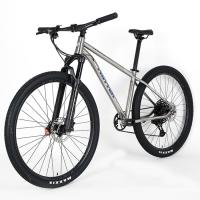 China Titanium Alloy Mountain Bike 11.6KG Thru Axle SHIMANO XT M8100 29er 27.5 for sale